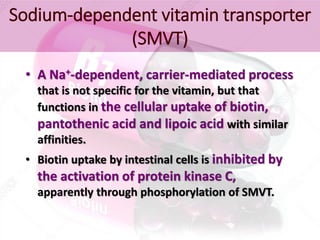 Absorption, transport and metabolism of biotin | PPSX
