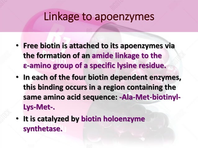 Absorption, transport and metabolism of biotin | PPSX | Endocrine and ...
