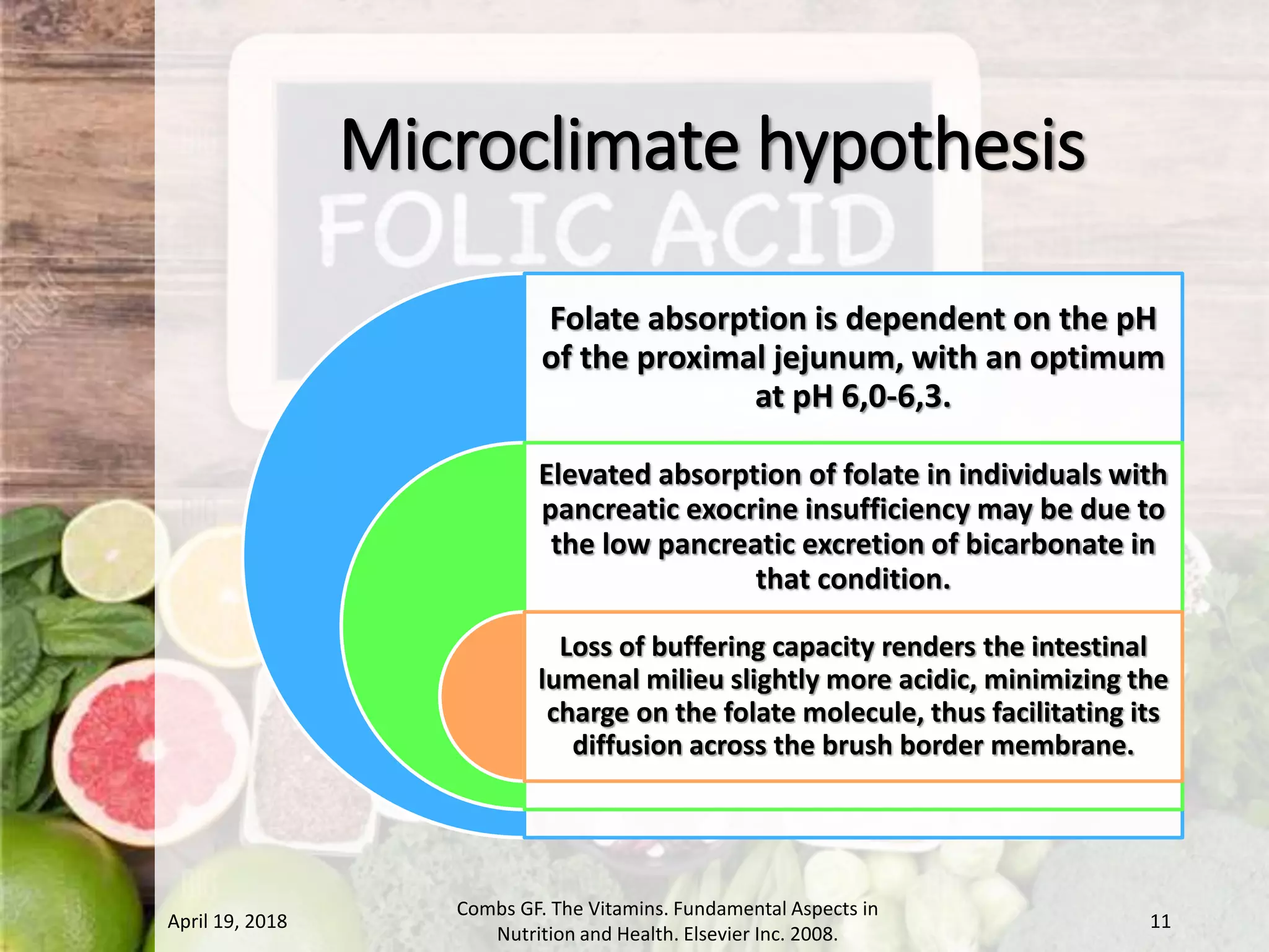 Absorption, transport and metabolism of folate | PPSX
