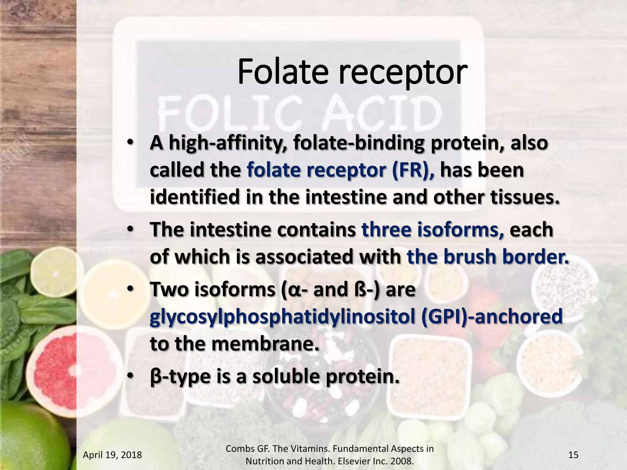 Absorption, transport and metabolism of folate | PPSX