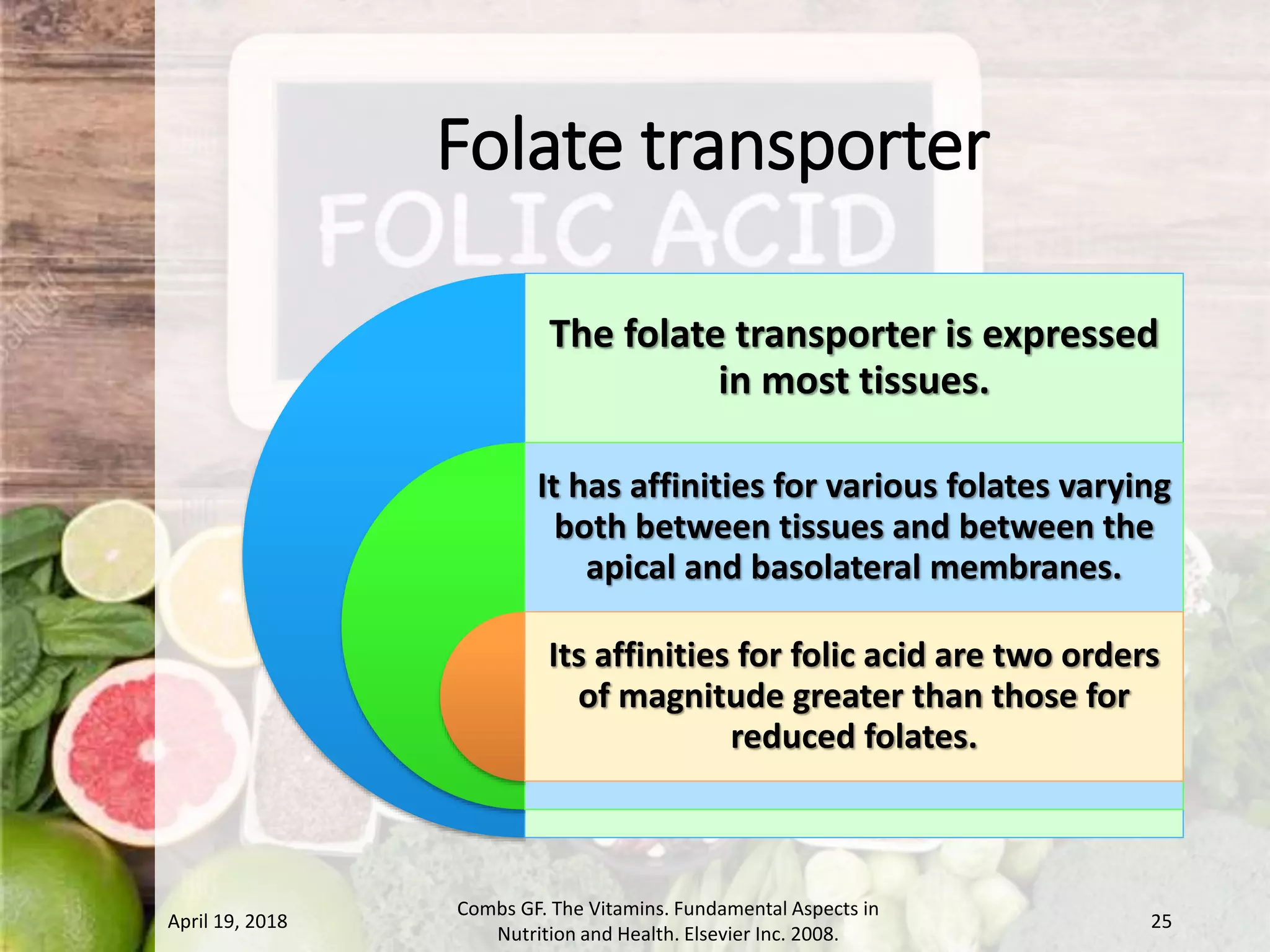 Absorption, transport and metabolism of folate | PPSX
