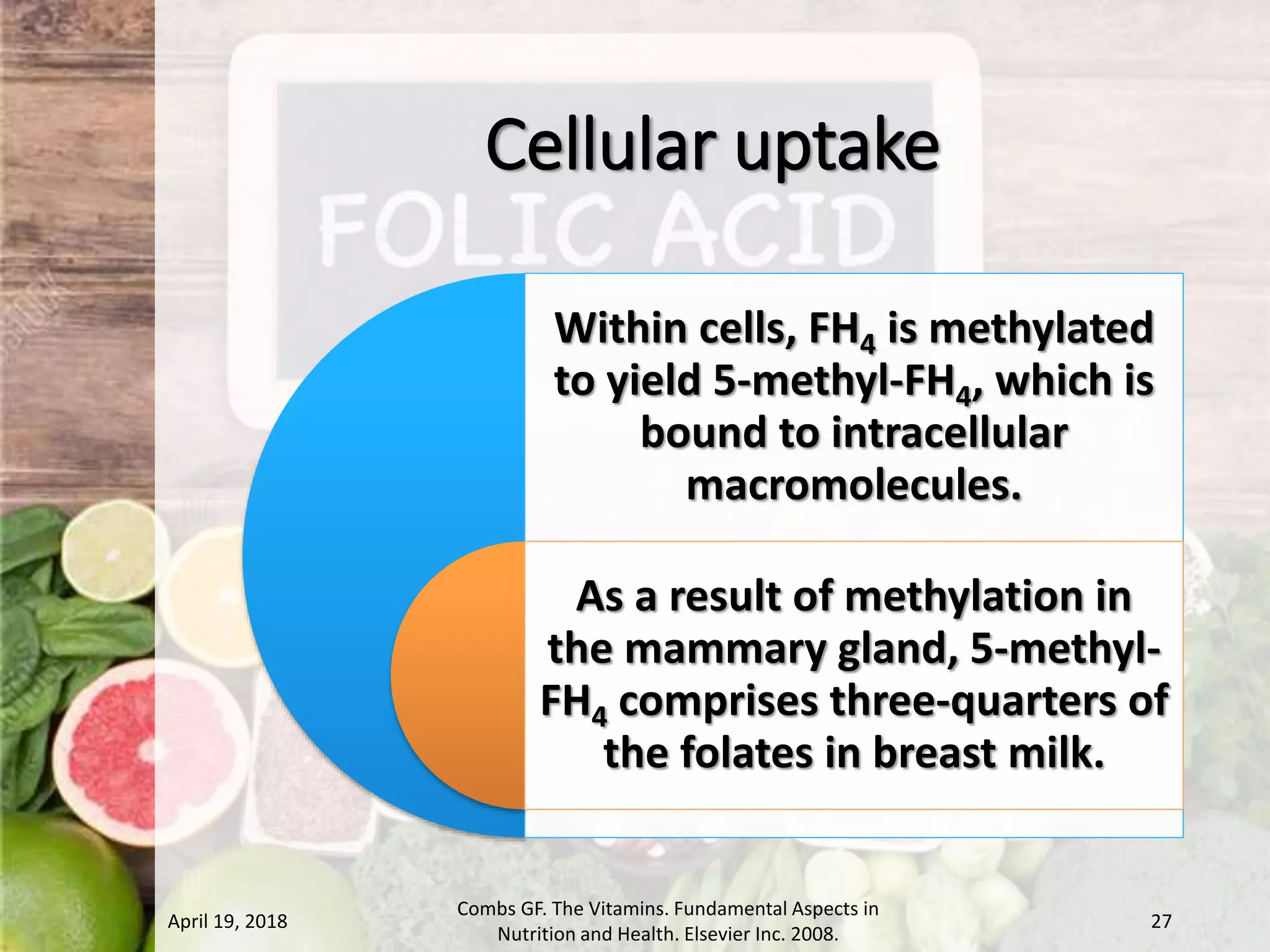 Absorption, transport and metabolism of folate | PPSX