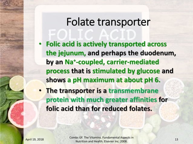 Absorption, transport and metabolism of folate | PPSX | Digestive ...