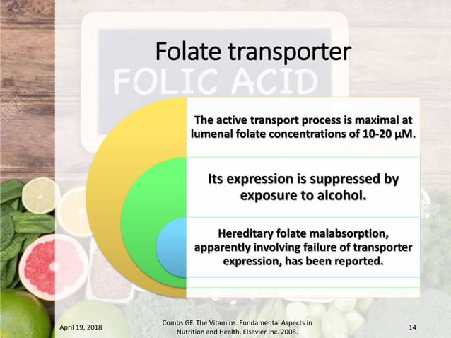 Absorption, transport and metabolism of folate | PPSX | Digestive ...