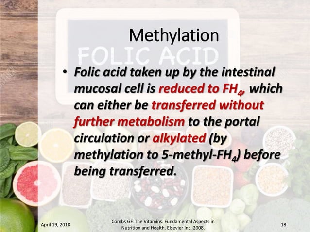 Absorption, transport and metabolism of folate | PPSX | Digestive ...