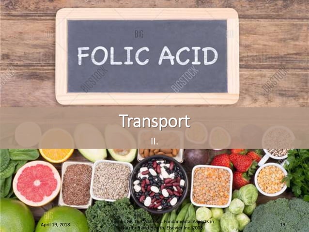 Absorption, transport and metabolism of folate | PPT