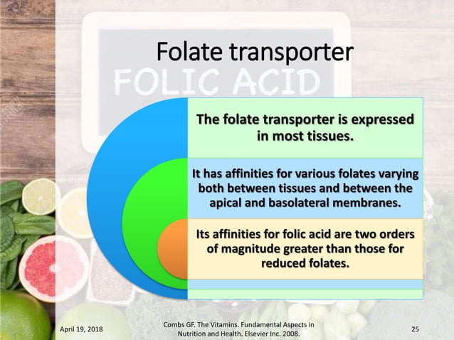 Absorption, transport and metabolism of folate | PPSX | Digestive ...