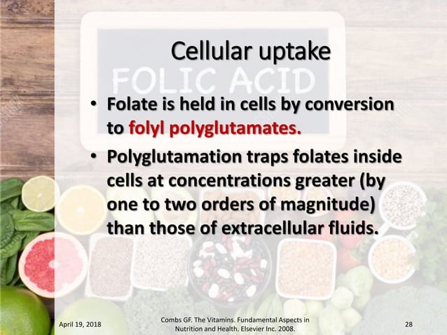 Absorption, transport and metabolism of folate | PPSX | Digestive ...