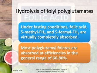 Absorption, transport and metabolism of folate | PPSX