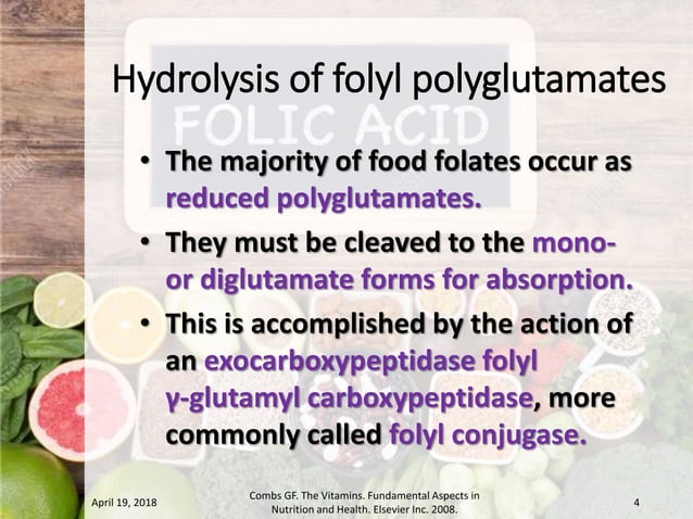Absorption, transport and metabolism of folate | PPSX | Digestive ...