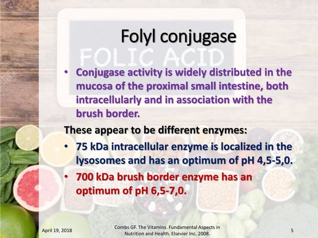 Absorption, transport and metabolism of folate | PPSX | Digestive ...