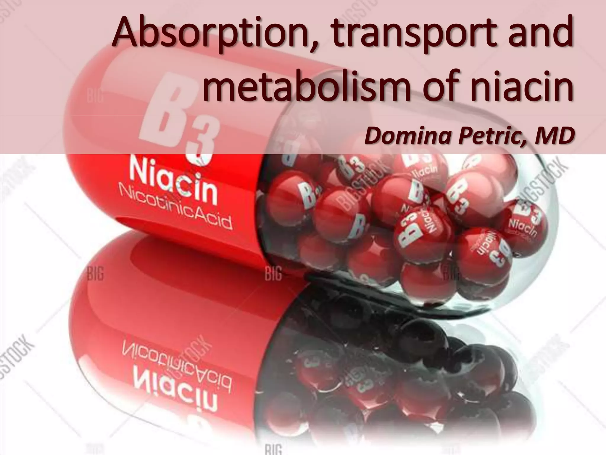 Absorption, transport and metabolism of niacin | PPSX