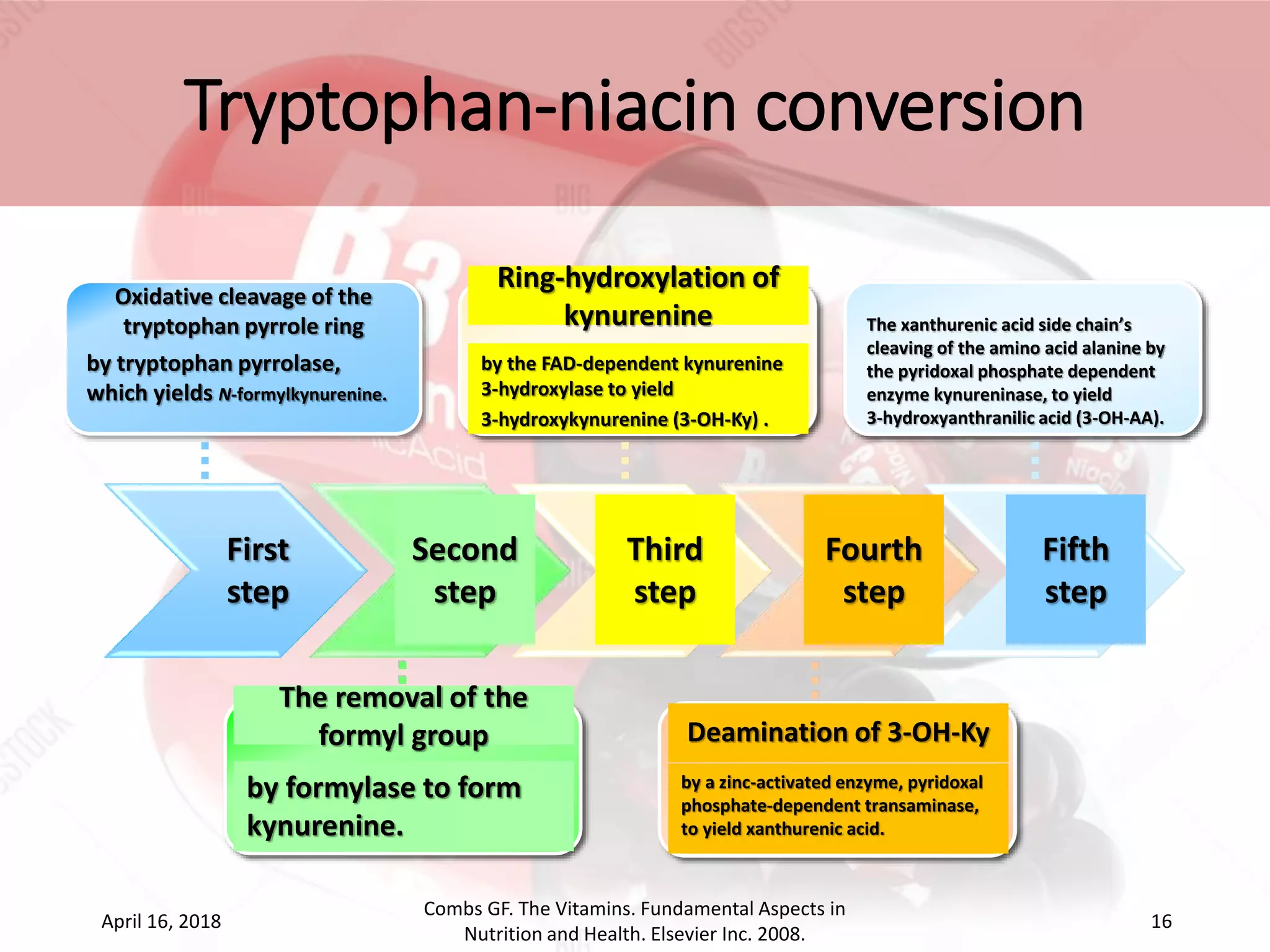 Absorption, transport and metabolism of niacin | PPSX