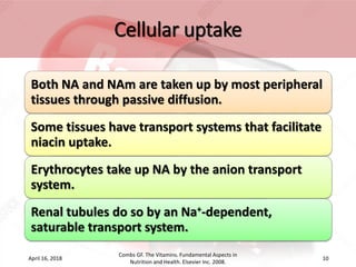 Absorption, transport and metabolism of niacin | PPSX