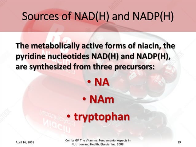 Absorption, transport and metabolism of niacin | PPSX