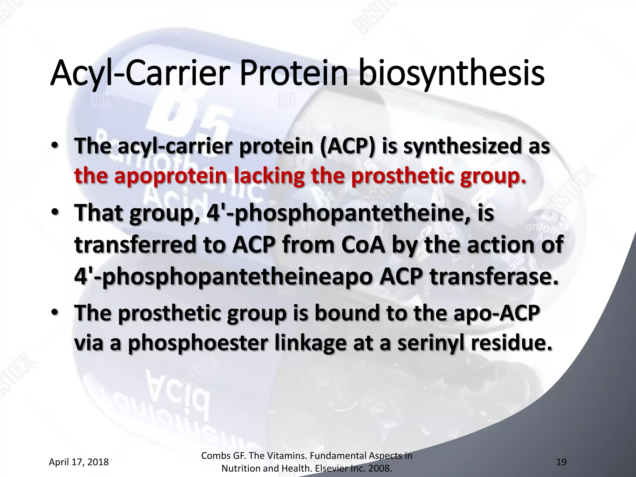 Absorption, transport and metabolism of pantothenic acid | PPSX