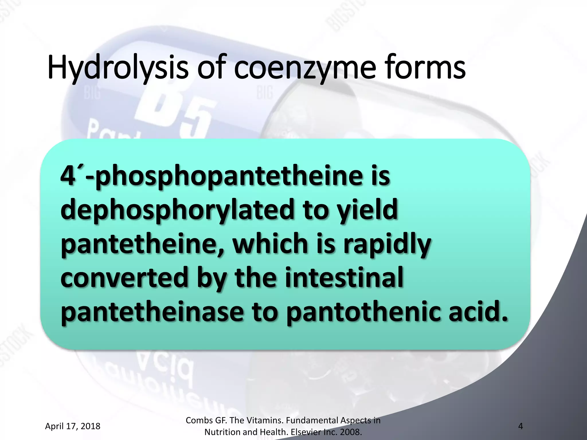 Absorption, transport and metabolism of pantothenic acid | PPSX