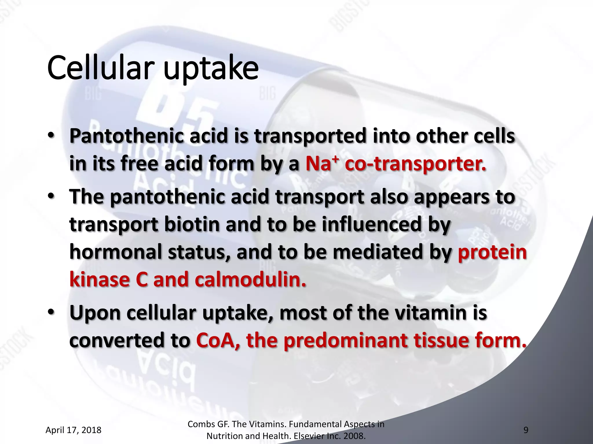 Absorption, transport and metabolism of pantothenic acid | PPSX