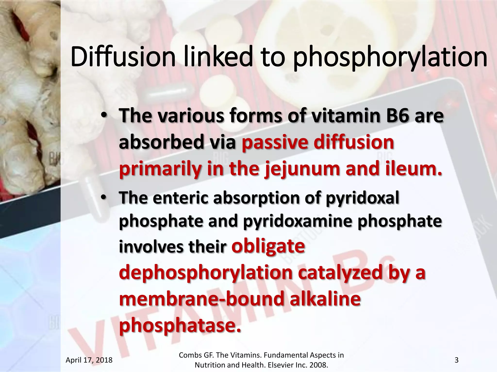 Absorption, transport and metabolism of pyridoxine | PPSX