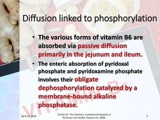 Absorption, transport and metabolism of pyridoxine | PPSX