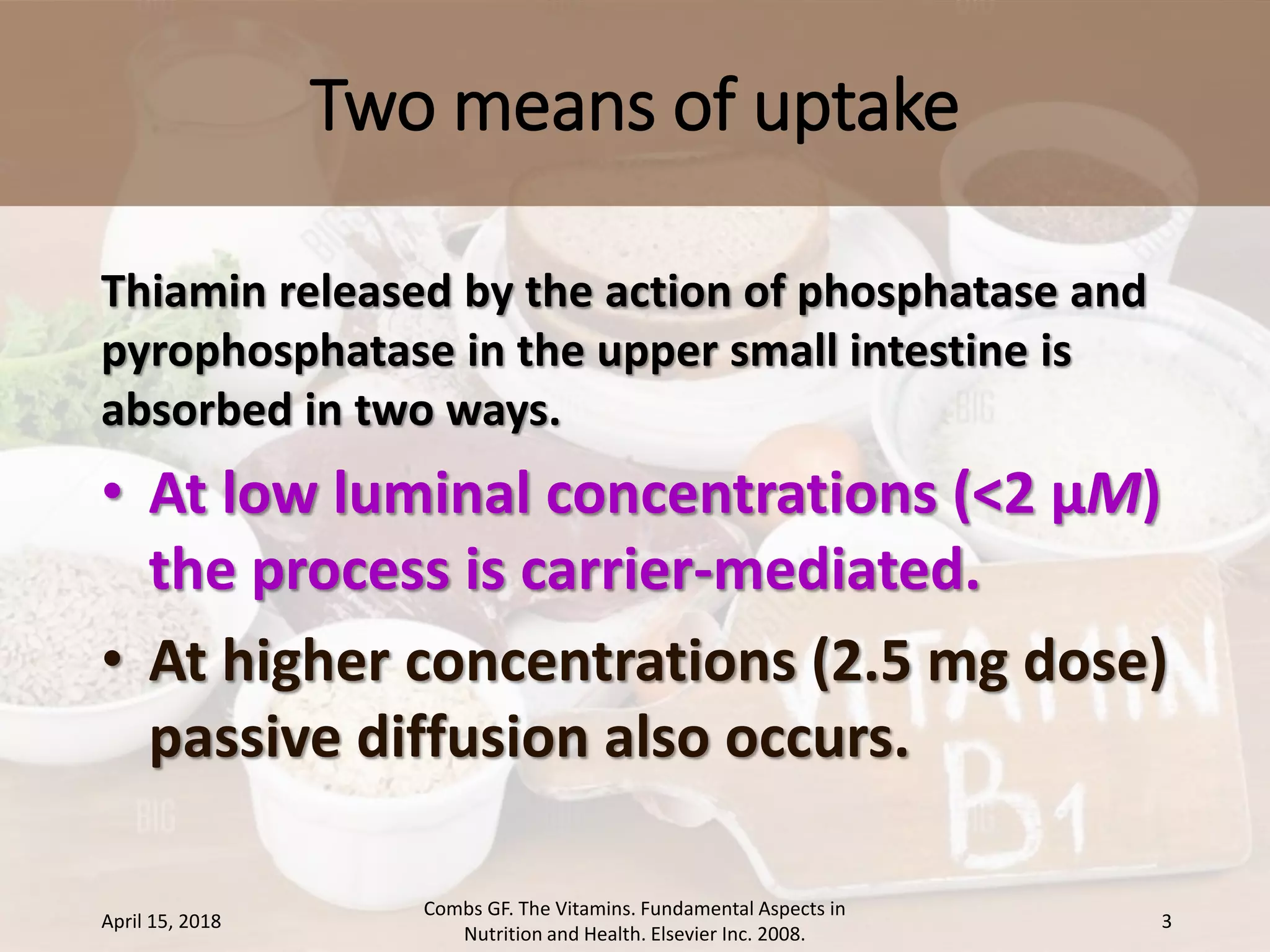 Absorption, transport and metabolism of thiamin | PPSX