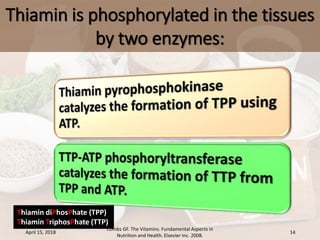 Absorption, transport and metabolism of thiamin | PPSX