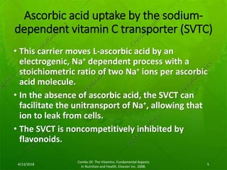 Absorption, transport and metabolism of vitamin C | PPSX
