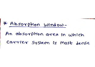Absorption Window | PDF