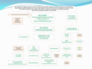 ABS Powerpoint | PPTX | Agriculture | Industries