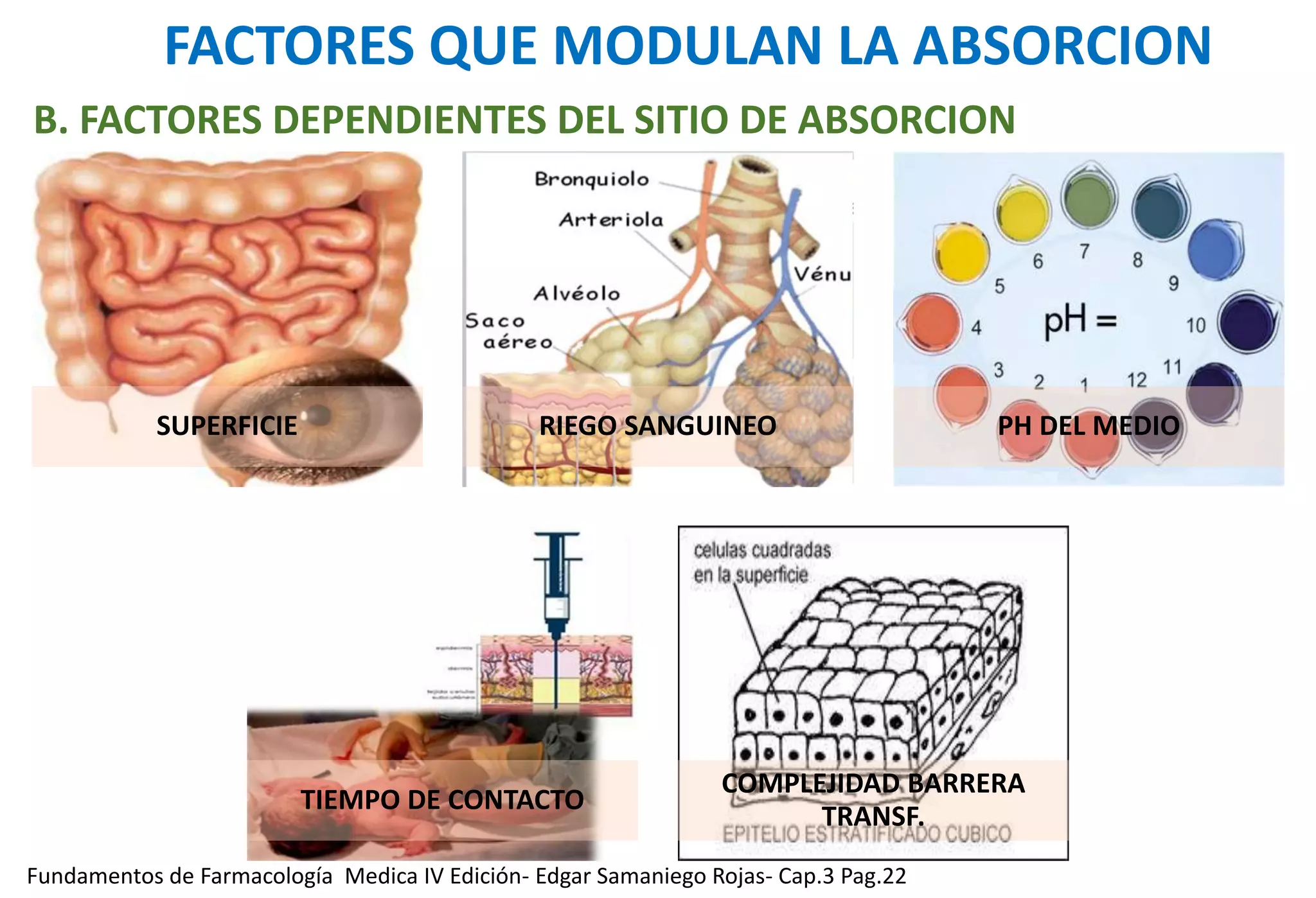 FARMACOCINETICA: ABSORCIÓN Y DISTRIBUCIÓN | PPTX