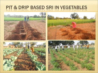 Absss chitrakoot | PPT