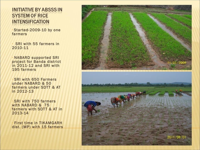 Absss chitrakoot | PPT