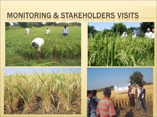 Absss chitrakoot | PPT