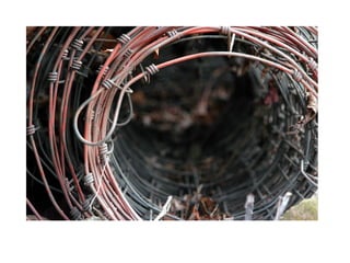 Abstract photography-ppt | PPT