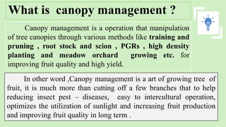 Canopy Development And Management In Relation To Growth, Flowering, Fruiting And Fruit Quality ...