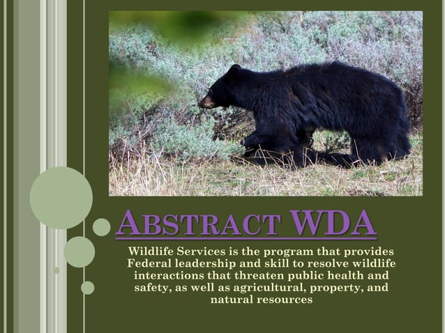 Abstract wda | PDF