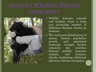 Abstract wda | PDF | Pets