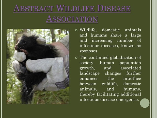 Abstract wda | PDF
