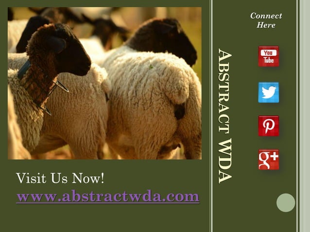 Abstract wda | PDF