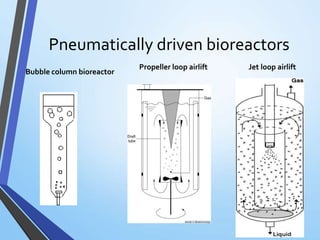 Bioreactors for plant cell cultures | PPTX