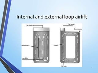 Bioreactors for plant cell cultures | PPTX