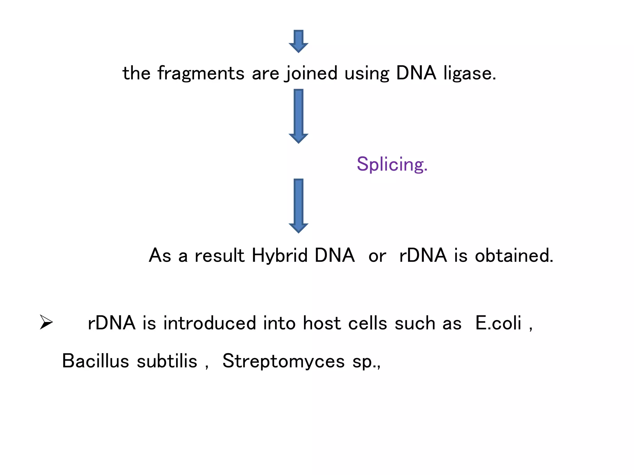 Construction of rDNA molecules and bacterial transformation | PPTX