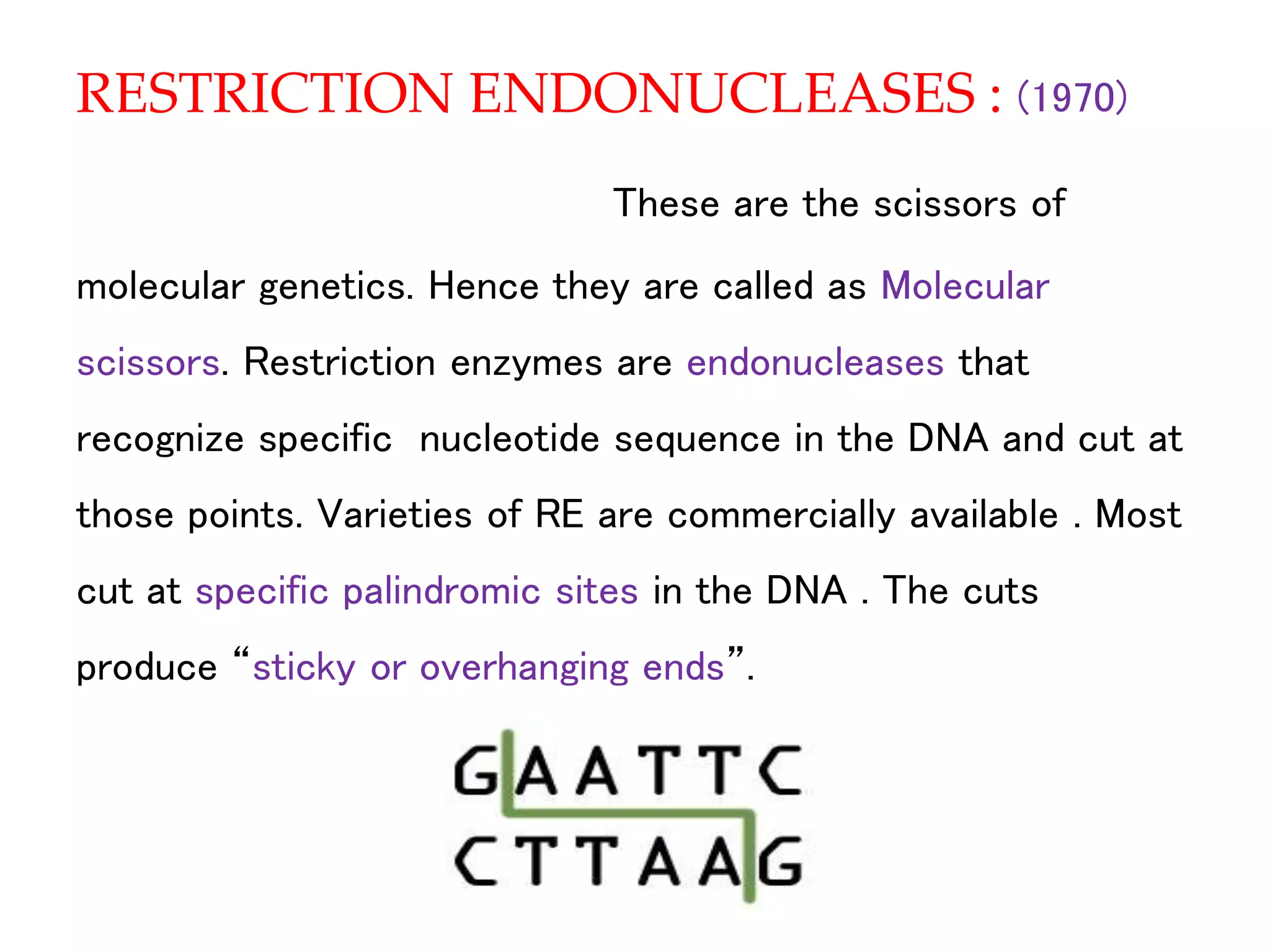 Construction of rDNA molecules and bacterial transformation | PPTX