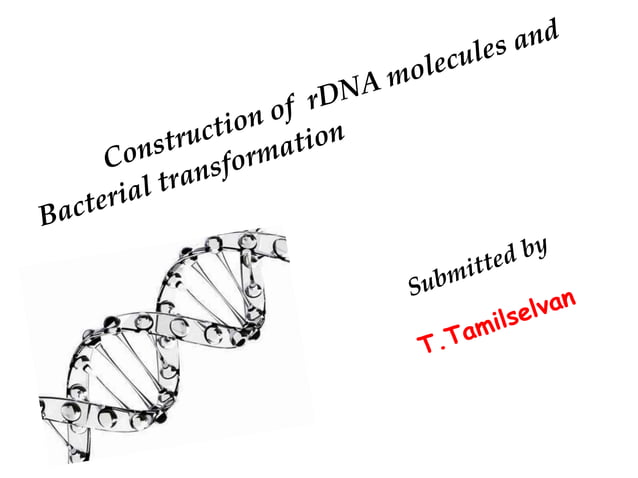 Construction of rDNA molecules and bacterial transformation | PPTX ...