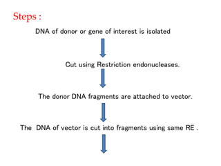 Construction of rDNA molecules and bacterial transformation | PPTX