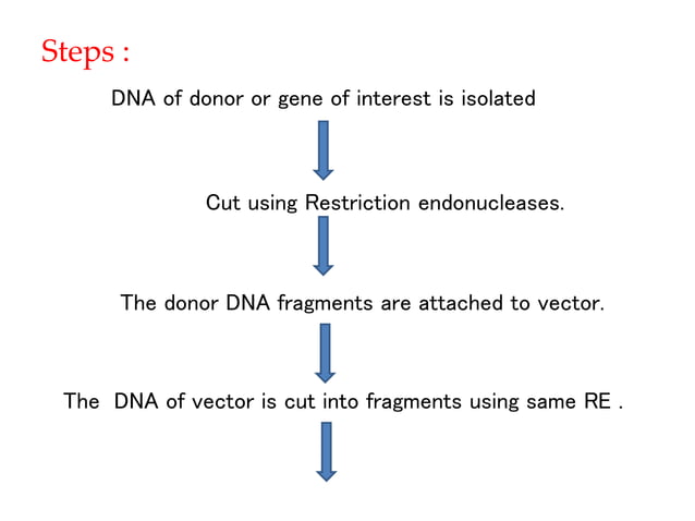 Construction of rDNA molecules and bacterial transformation | PPTX ...