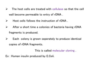 Construction of rDNA molecules and bacterial transformation | PPTX