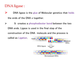 Construction of rDNA molecules and bacterial transformation | PPTX