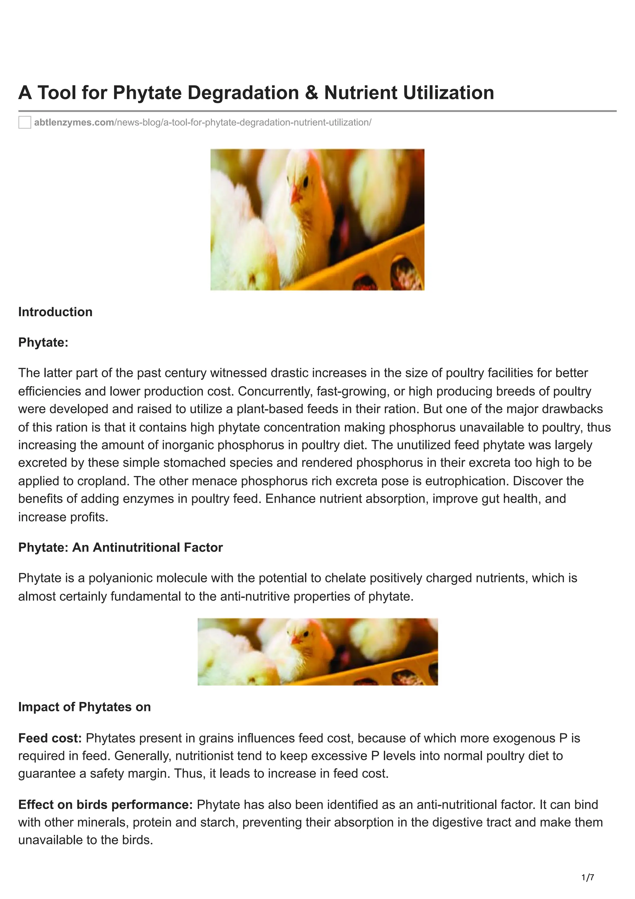 An Introduction to Phytase Enzyme in Poultry Feed- ABTL Enzyme | PDF