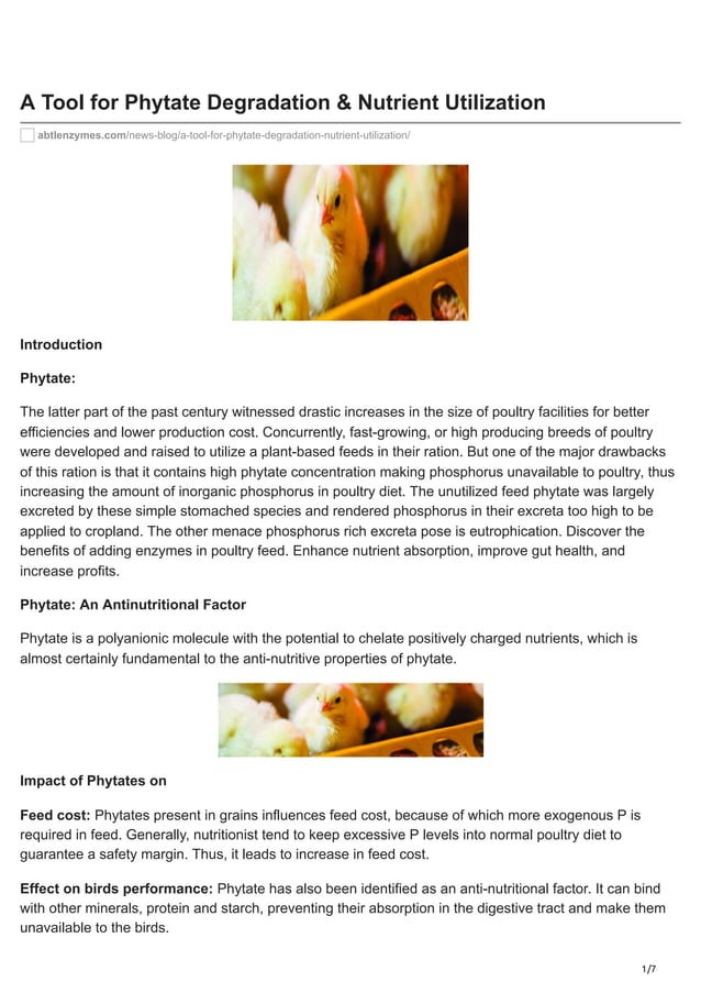 An Introduction to Phytase Enzyme in Poultry Feed- ABTL Enzyme | PDF